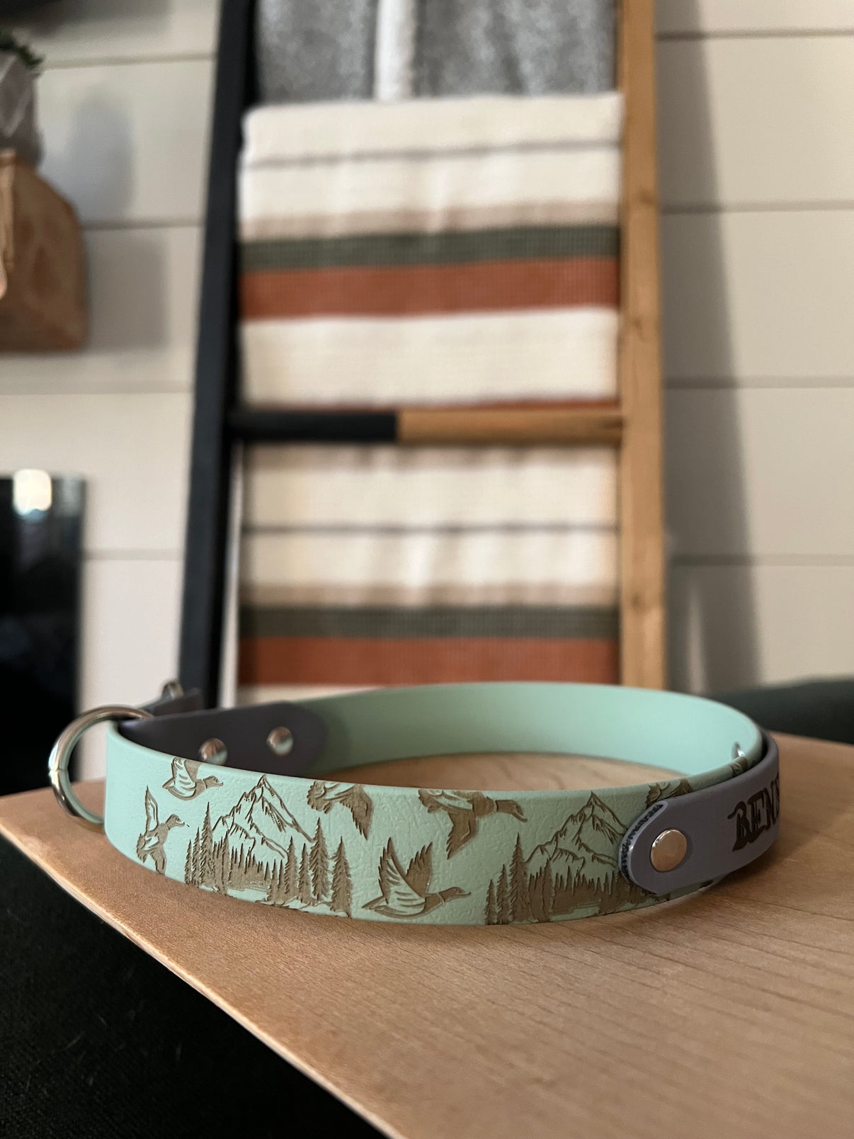Fully Custom Slip Collar – FabLabs Collars